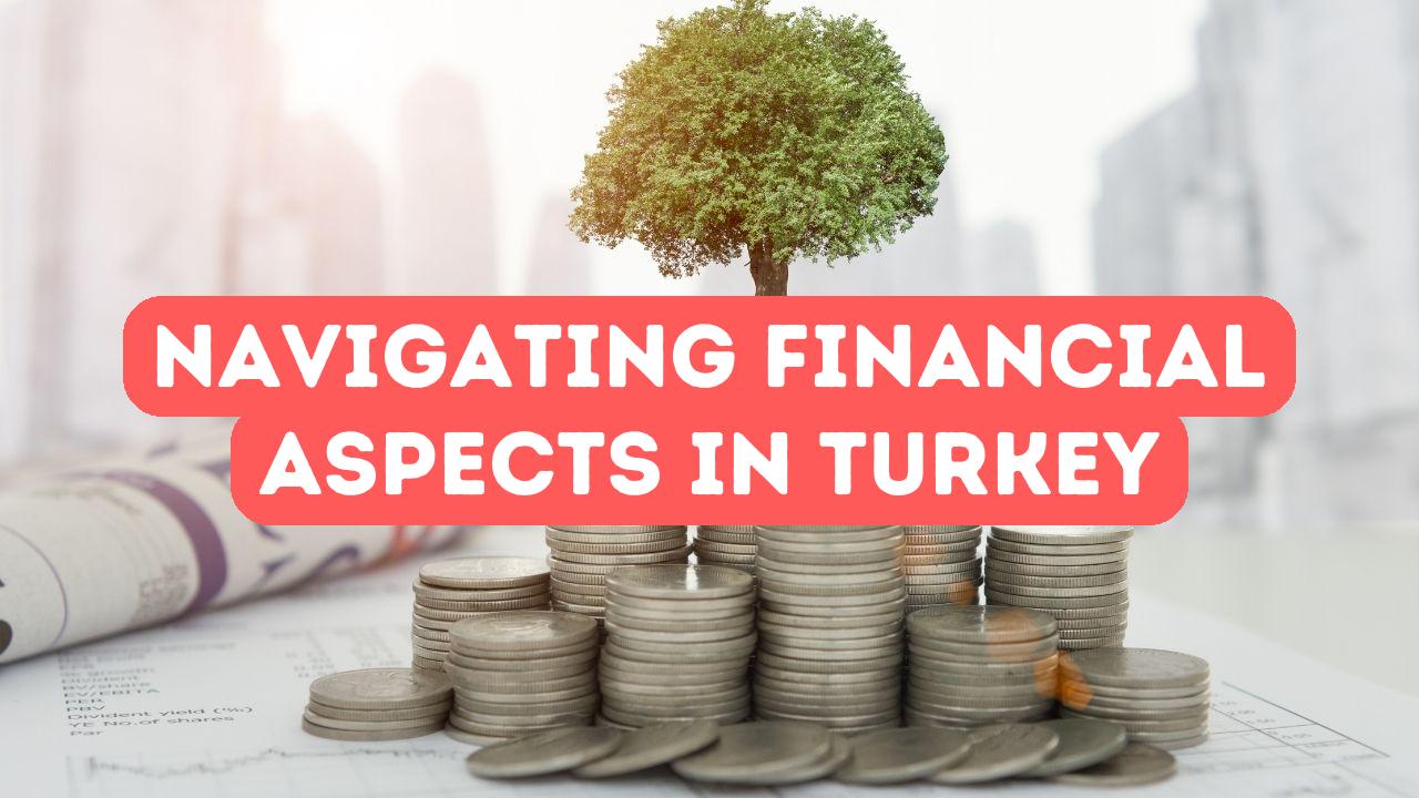 Navigating Financial Aspects of Living in Turkey