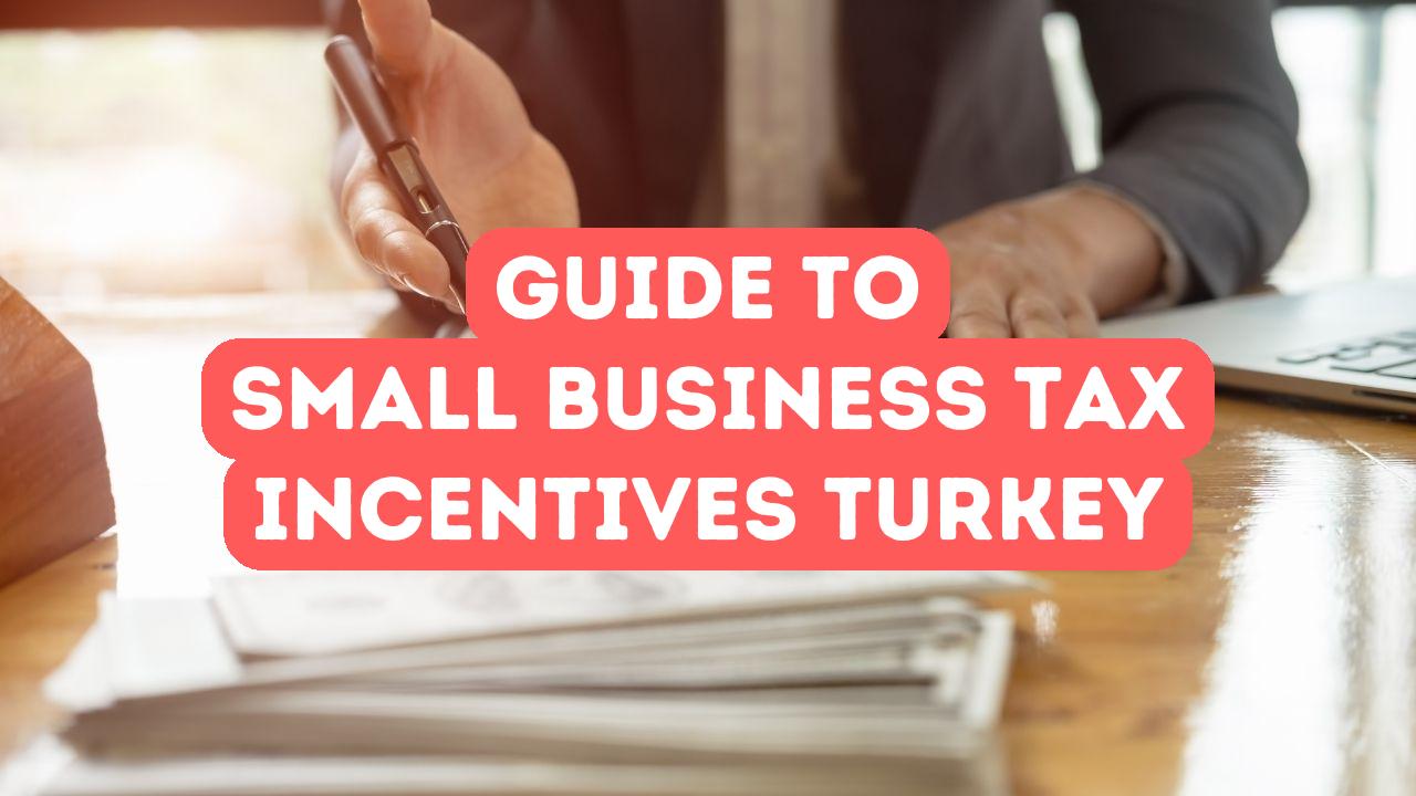 Guide to Small Business Tax Incentives in Turkey