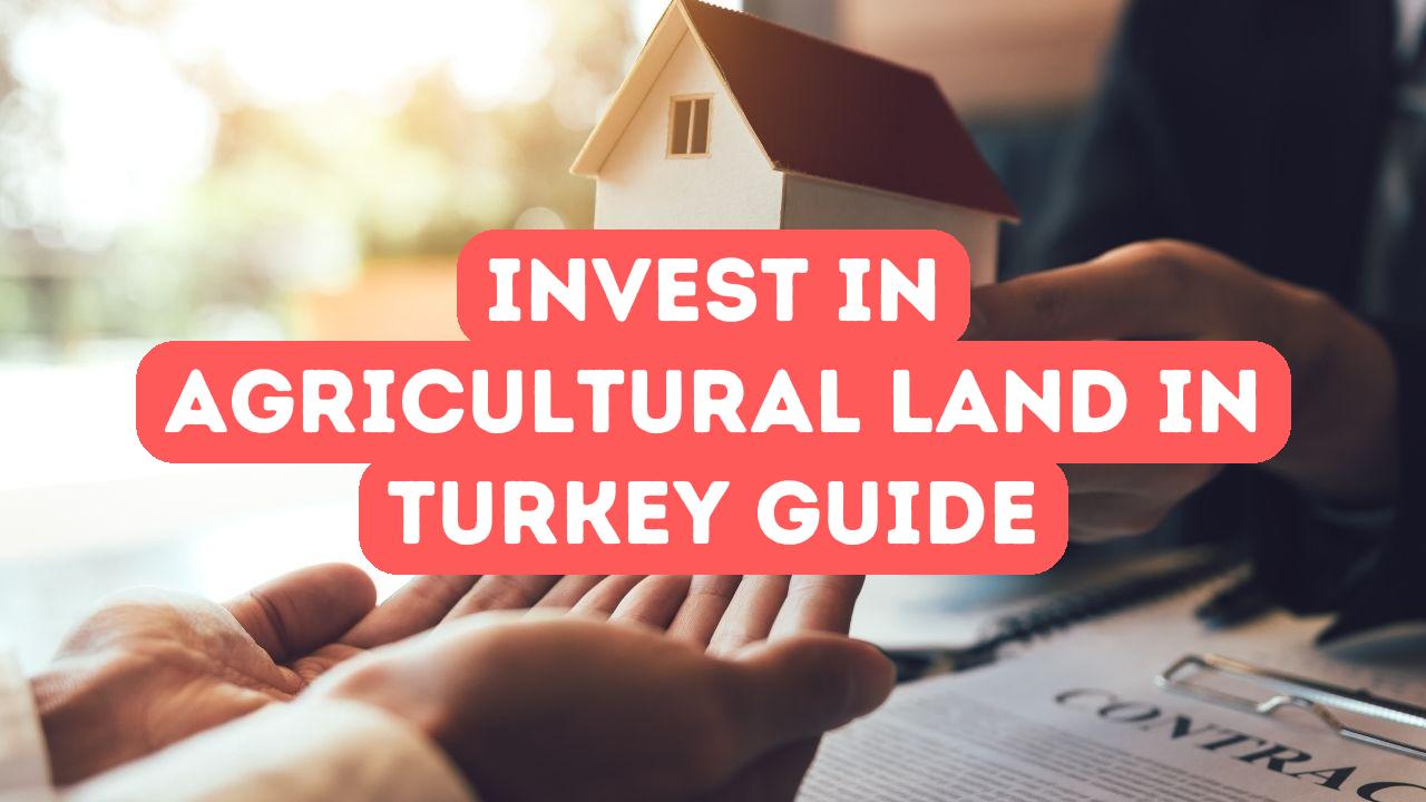 How to Invest in Agricultural Land in Turkey