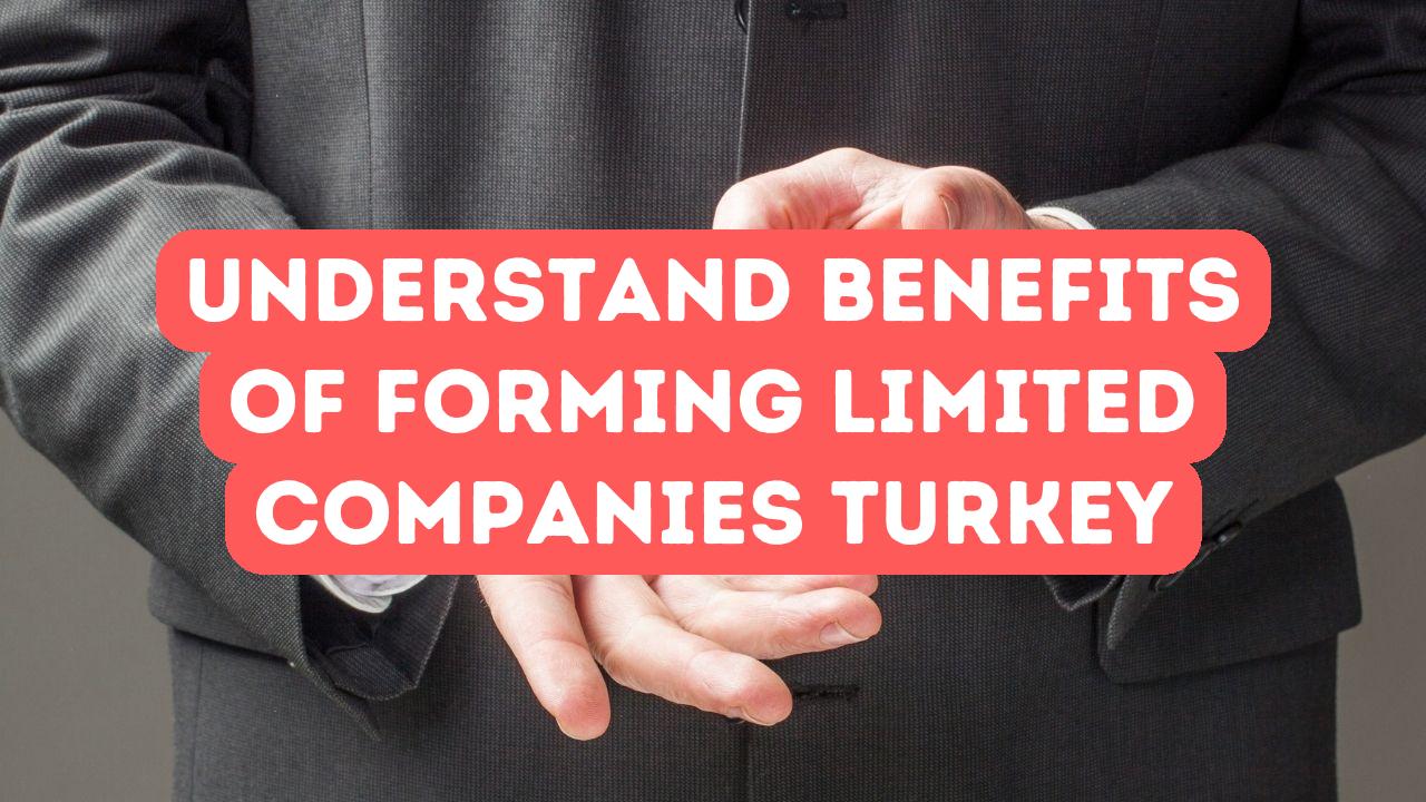 Understanding the Benefits of Forming a Limited Company in Turkey